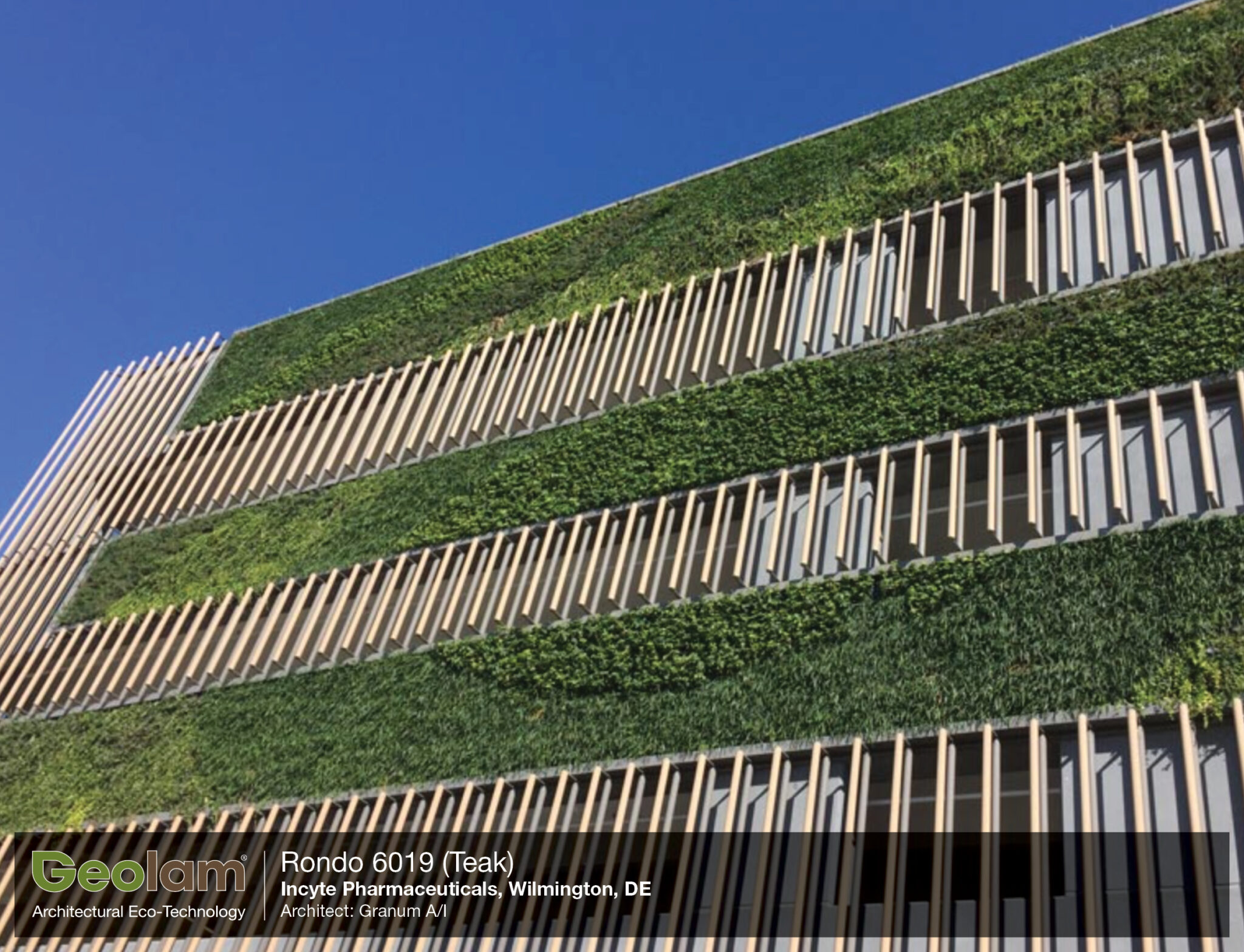 Geolam® – CLADDCO